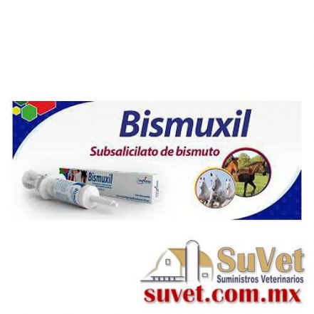 Bismuxil pasta oral jeringa de 30 ml - SUVET