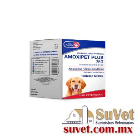 Amoxipet 250 frasco de 60 ml - SUVET